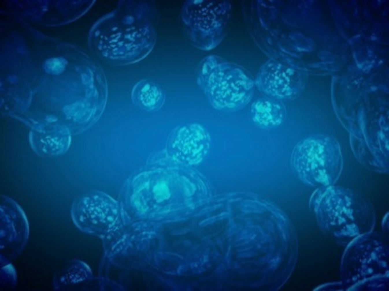 Bubbles Blue | Igniter Media | Still Backgrounds | WorshipHouse Kids
