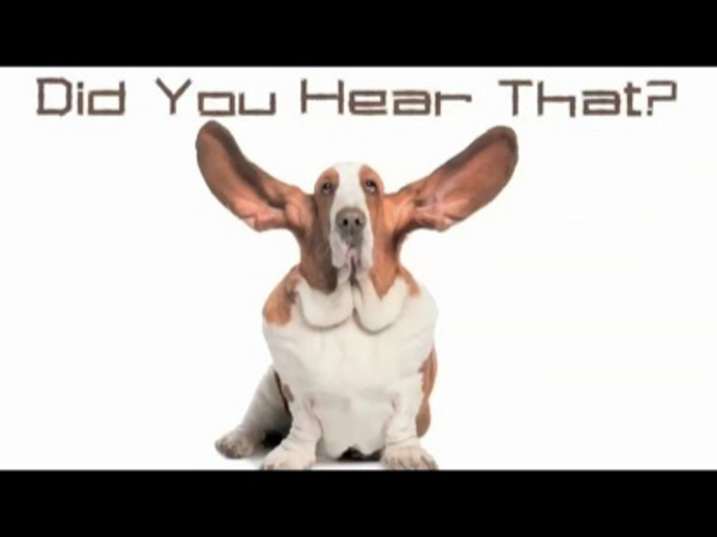 Did You Hear That | Digital Felt Productions | Games | WorshipHouse Kids
