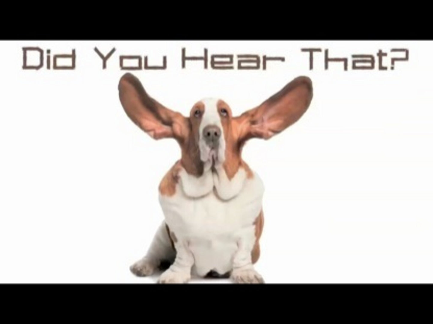 Did You Hear That | Digital Felt Productions | Games | WorshipHouse Kids