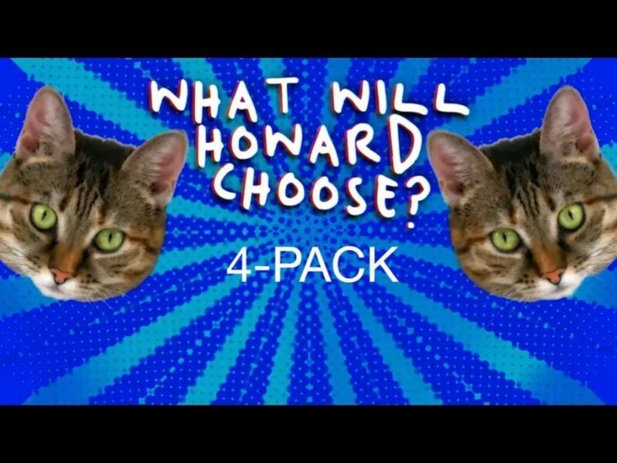 What Will Howard Choose, 4-Pack | Digital Felt Productions ...