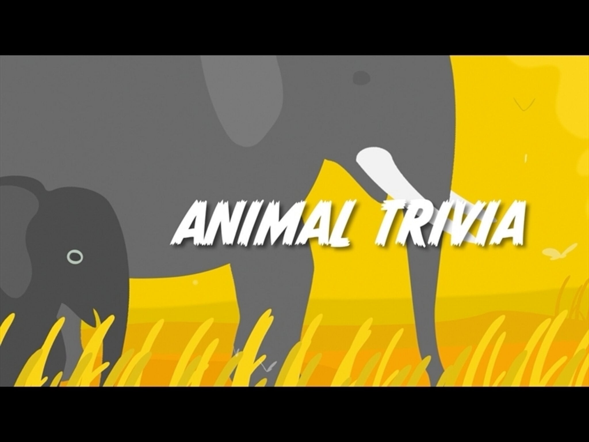Animal Countdown Trivia | James Grocho | WorshipHouse Kids