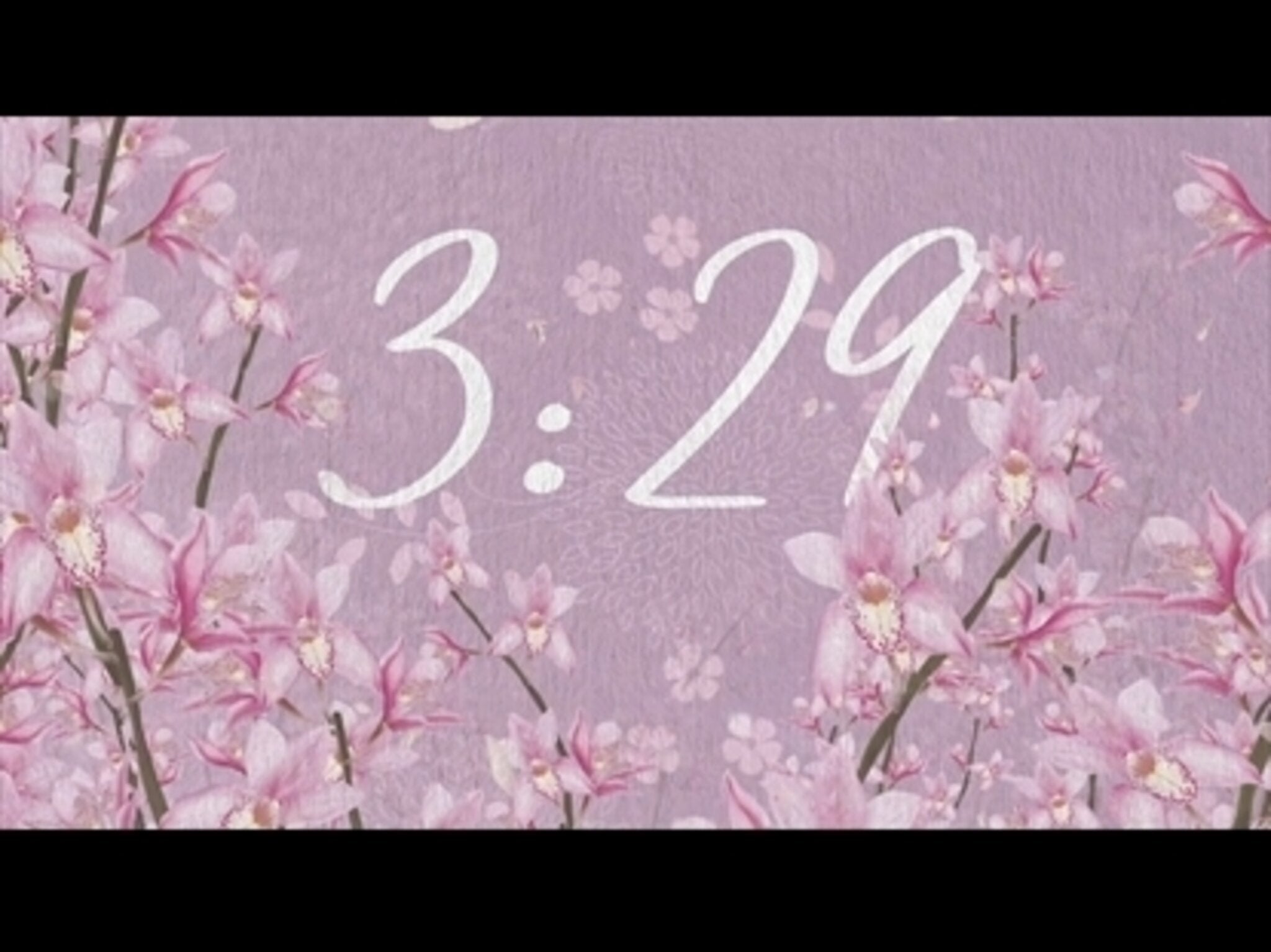 Spring Flowers Countdown | James Grocho | Countdowns | WorshipHouse Kids