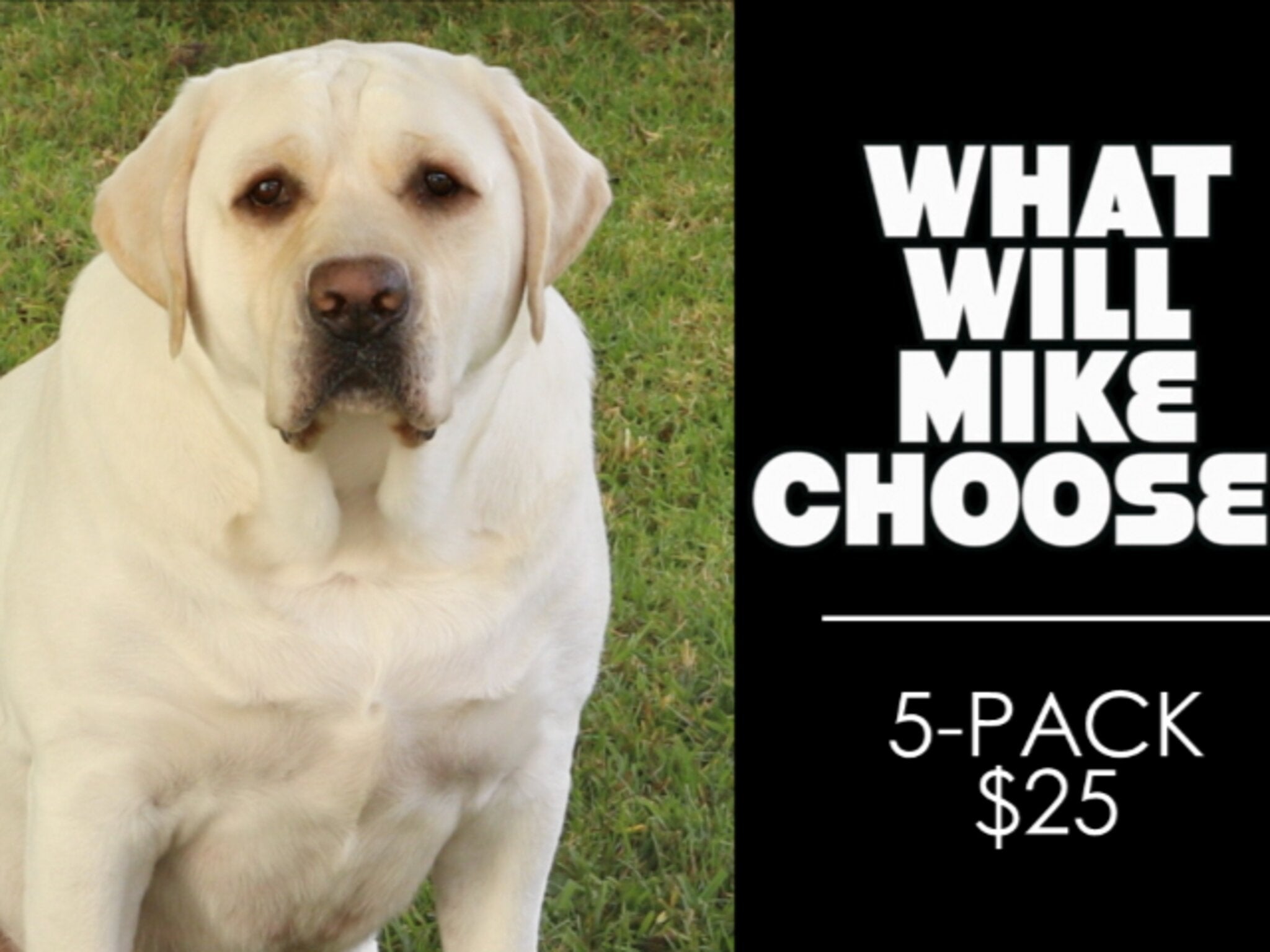 What Will Mike Choose: 5-Pack | Digital Felt Productions | Games ...